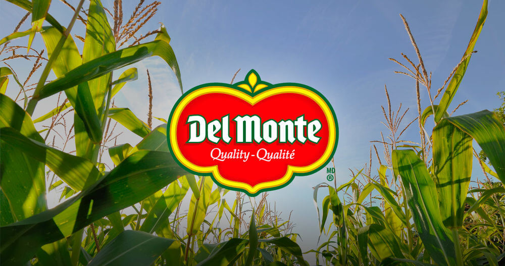 Découvrez nos gammes de produits Del Monte